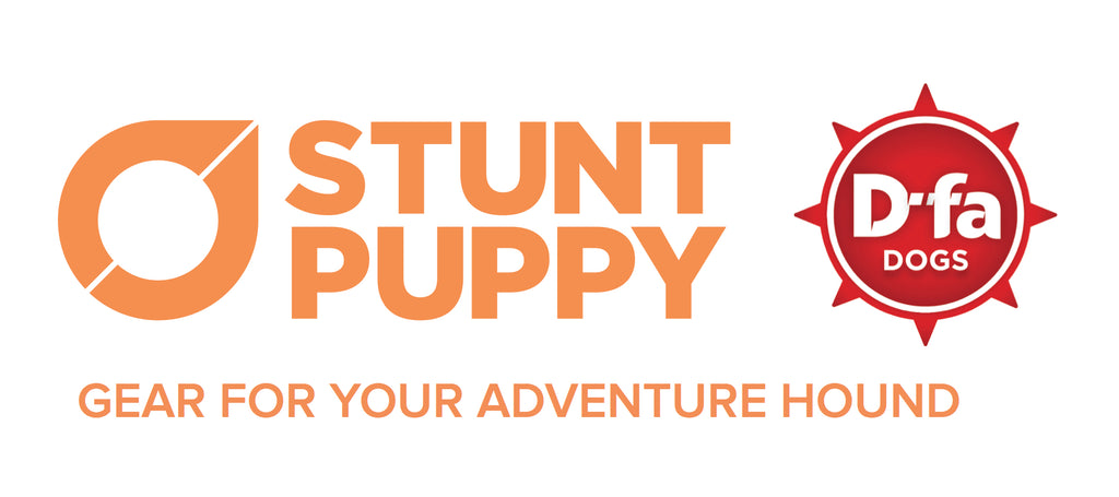 D-Fa Dog – D-fa Dogs Down Under